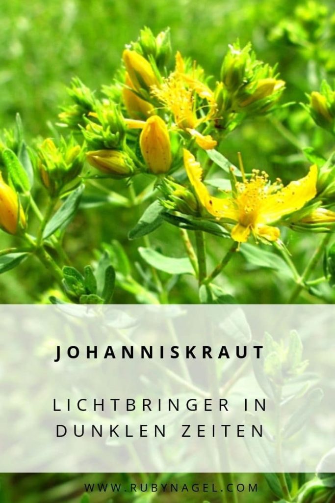 Johanniskrautol Wirkung Haut